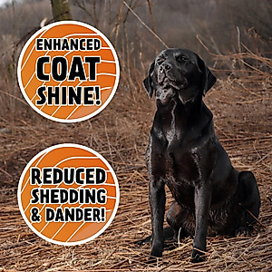 DogBone Wild Alaskan Fish Oil for Dogs 32 oz (6 Pack) | Salmon Oil for Dogs | Dog Fish Oil | Omega 3 for Dogs | Dog Joint Supplement | Dogs Vitamins and Supplements | Salmon Oil for Dogs Skin and Coat