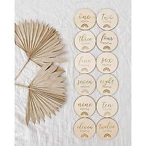 Baby Monthly Milestone Wooden Discs 12 Double Sided (24 Designs) Cards, Hello World Sign, Newborn Photo Props, Welcome Announcement, Hospital Birth Gift, Pregnancy Journey, Age Blocks