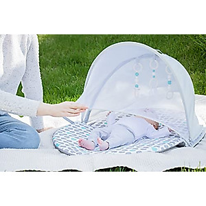 Regalo Baby Basics™ Foldable Infant Play Mat, Includes Hanging Toys, Designer Pad, Bug Net, and UPF 50 Sunshade