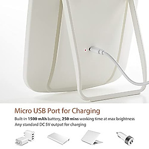 NEZZOE Makeup Mirror Touch Screen Vanity Mirror with LED Brightness Adjustable Portable USB Rechargeable