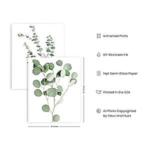 HAUS AND HUES Botanical Plant Wall Art Prints - Set of 4 Plant Decor Prints, Floral Kitchen Pictures, Flower Leaves Wall Art, Boho Leaf Eucalyptus Wall Décor (8x10, UNFRAMED)