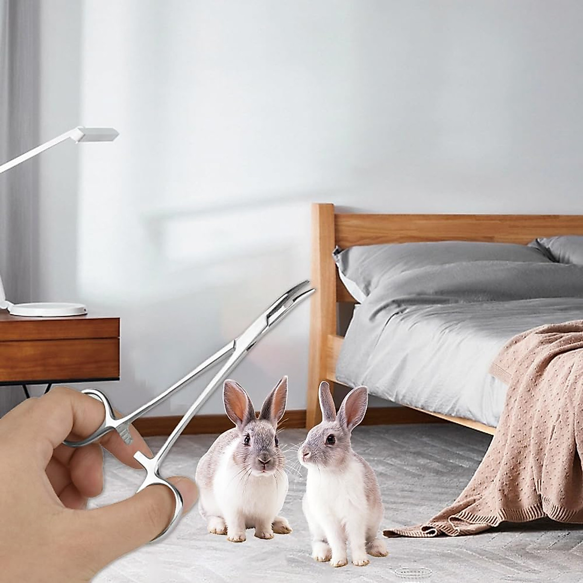 Dog Ear Hair Removal Tool, Dog Ear Plucking Tool Dog Ear Hair Remover Pets Ears Nose Hair Puller Stainless Steel Grooming Cleaning Clamp with Curved Tip Tweezers for Pet Cat Trimmer Accessories(small)