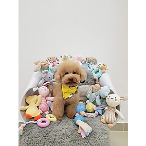 VLIFE Interactive Plush Toy Duck Set (3 Packs) with Squeaker and Jingle Sounds for Puppies and Small Dog Birthday Gift Set as Companion for Puppies and Small Breed Dogs(Premium Quality), Yellow