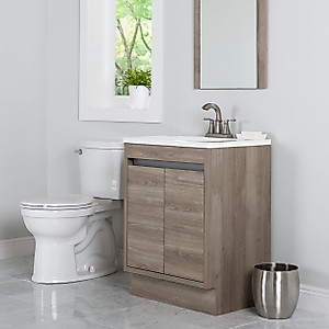 Spring Mill Cabinets Tarni Small Bathroom Vanity with 2-Door Cabinet and White Vanity Top with Sink, 24.5" W x 18.75" D x 32.89" H, Forest Elm