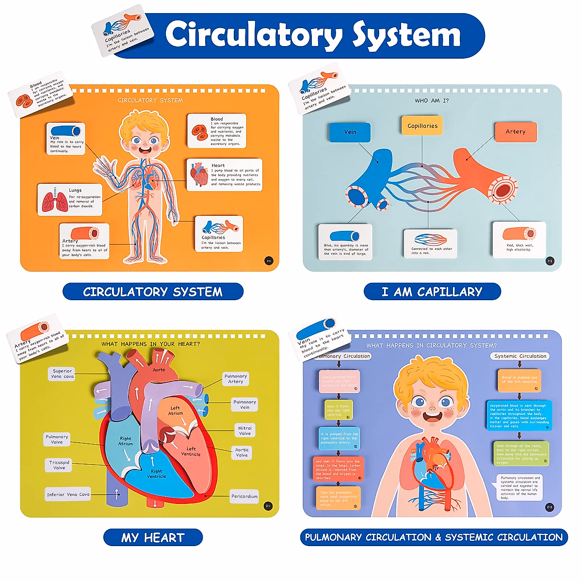 Freebear Montessori Busy Book for Kids, Human Body Anatomy Book for Toddlers, Preshool Kindergarten Learning Activities, Autism Sensory Toys, Travel Toys, Gifts for Girls and Boys 4 5 6 7 8 Years