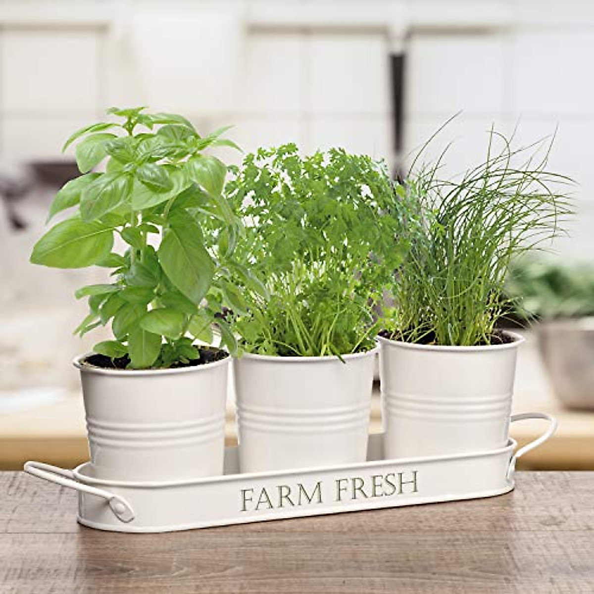 Herb Pots with Tray Set, Indoor Herb Planter, Farmhouse Inspired Decorative Herb Garden Planter with Drain Holes for Healthy Plants, Ideal for Indoor Windowsill