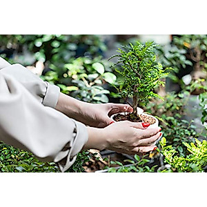 Leaves and Soul Bonsai Fertilizer Pellets |18-6-8 Slow Release Pellets for Seedlings, Mature Plants, All Tree Types | Multi-Purpose Blend & Gardening Supplies, No Fillers | 5.2 oz Resealable Packaging