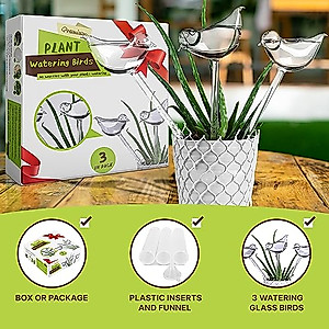 Durable glass Bird Design Watering globes - 3 pack Gift for gardeners, Her or Mom with 3 Water Bulbs, a Funnel + 3 spikes against dirt for Indoor Plants / Watering Bulbs, Water Globes, Home Decoration