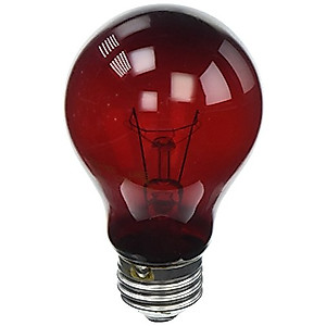 Zoo Med Nightlight Red Reptile Bulb 60 Watts (4 Pack)