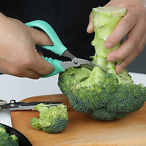 Endurance Kitchen shears Seafood Scissors for Shrimp crab lobster snow crab 6.1 Inch Stainless Steel