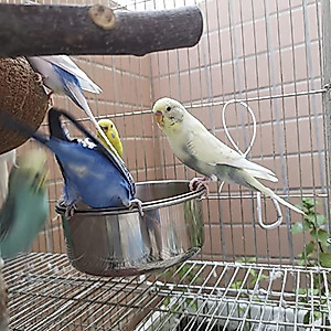 Lucky Interests 4 pcs Bird Feeding Dish Cups, Parrot Stainless Steel Food Bowl Bird Cage Water Feeder with Clamp Holder for Parrots Cockatiel Budgies Lovebird Parakeet Feeding Cups with 4 Bird Spoon