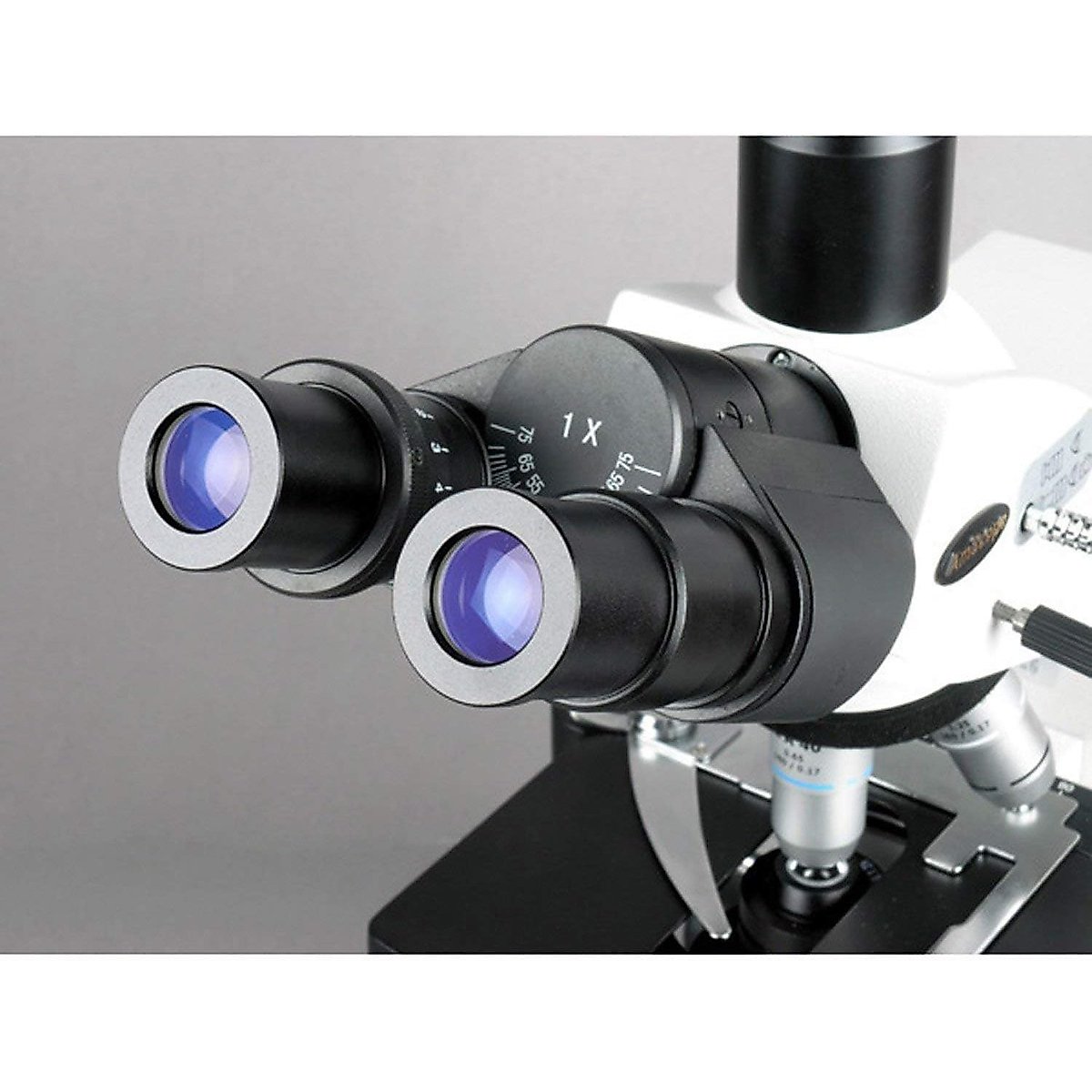 AmScope T690C-8M Digital Trinocular Compound Microscope, 40X-2500X Magnification, WH10x and WH25x Super-Widefield Eyepieces, Infinity Objectives, Brightfield, Kohler Condenser, Double-Layer Mechanical Stage, Includes 8MP Camera with Reduction Lens and Sof