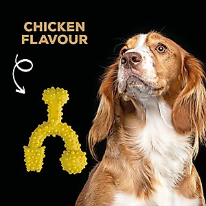 Small Tasty Bone Trio Bone for Dogs Chicken (5 x 4")