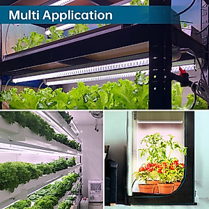 Barrina (Pack of 12) LED Grow Lights, 2FT 24W, LED Grow Lights, Full Spectrum, Grow Light Bulbs for Indoor Plants, Greenhouse