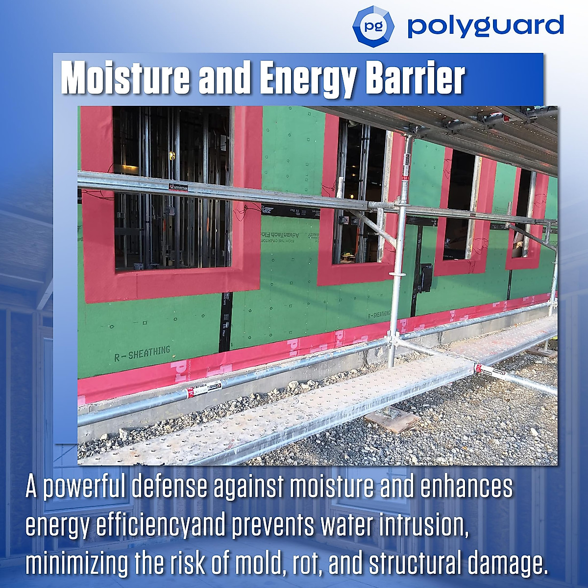POLYGUARD Term Flashing Termite Barrier 4" x75' Roll. Non Chemical, Non Structural Insect and Moisture Barrier. Self Adhesive Sheet, Low Temperature Application Down to 30°F
