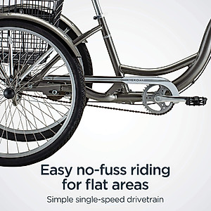 Schwinn Meridian Adult Tricycle Bike, Mens and Womens Three Wheel Beach Cruiser, 26-Inch Wheels, Low Step-Through Frame, Wide Seat, Rear Folding Basket, 1-Speed, Dark Silver