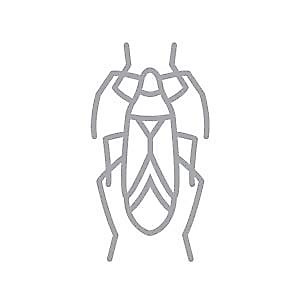 BUGGSLAYER Insecticide Concentrate 16-oz