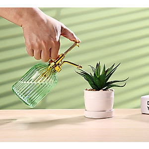 Aebor Glass Plant Mister Spray Bottle, 7.5" Green Glass Water Spray Bottle with Gold Top Pump Small Watering Can, Small Plant Sprayer Mister for Indoor Outdoor House Plant, Green+Gold (Green+Gold E)