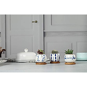 T4U 2.5 Inch Ceramic Succulent Planter Pot with Bamboo Saucer Set of 3, Cactus Plant Pot Flower Pot Container Planter Gift for Home Office Indoor Decoration Blue and White Pots