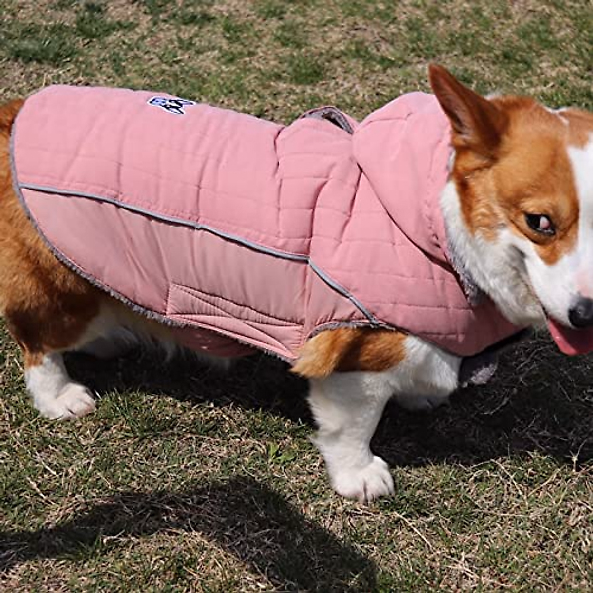 Small Dogs Reflective Windproof Pet Coat Winter Warm Dog Coat for Small Medium and Large Pet Clothes for Medium Dogs Girl