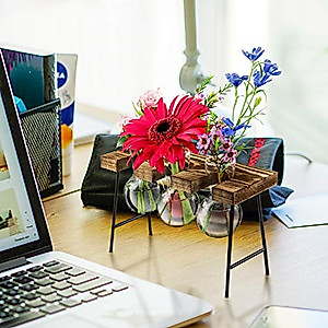 LESES Plant Propagation Stations Desktop Air Plant Terrarium, Glass Planter Bulb Glass Vase with Wood Stand Propagation Station for Hydroponics Plants Home Office Garden Decor