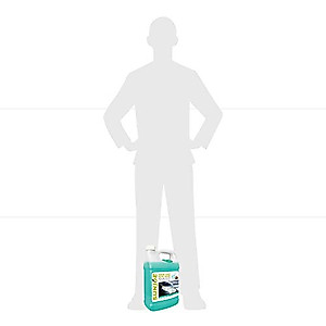 Sun Joe SPX-FCS1G-COC Premium Snow Foam Coconut Scent Car Wash Soap & Cleaner, 1 Gallon