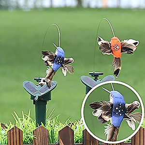 Hummingbird Solar Garden Dancing Decor Hummingbird Solar/Battery Powered Decoration & Hangs Large Glass Vases Floor Standing (A, One Size)
