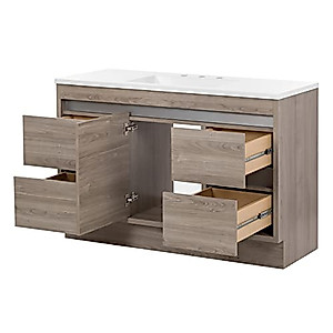 Spring Mill Cabinets D48V40264 Tarni Single Bathroom Vanity with 4 Drawers, Cabinet, and White Sink Top, Forest Elm
