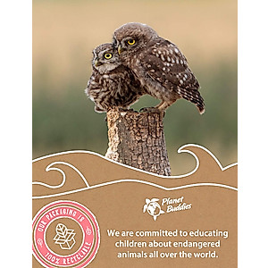 Planet Buddies Kids Lunch Box Bag, Insulated Lunch Bag Backpack for School, Cool Bag Lunch Boxes for Girls and Boys, Children's Backpacks with Water Bottle Holder and Name Tag, Olive the Owl