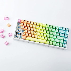 YUNZII Rainbow 84 84-Key RGB Hotswap Wired Mechanical Gaming Keyboard with PBT Shine Through Keycaps for Mac/Win/Gamers (Gateron Brown Switch, Rainbow)