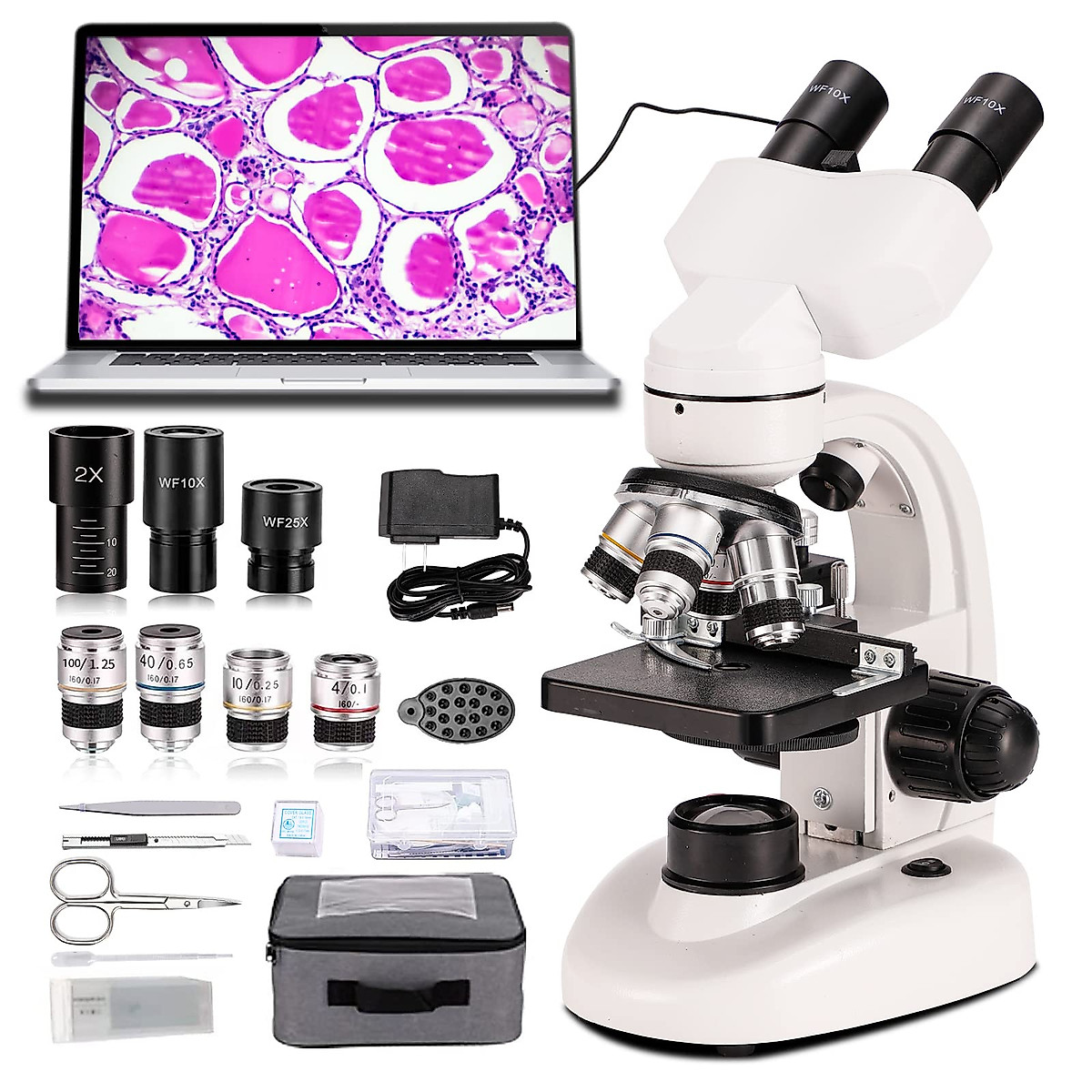 Compound Binocular Microscope, WF10x and WF25x Eyepieces,40X-2000X Magnification, LED Illumination Two-Layer Mechanical Stage (Binocular Four-Hole Microscope)