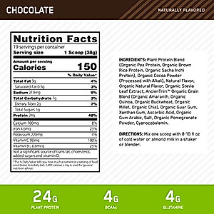 Optimum Nutrition Gold Standard 100% Plant Based Protein Powder, Vitamin C for Immune Support, Chocolate, 1.59 Pound