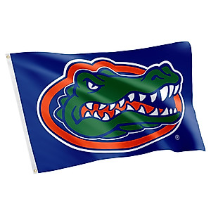 Desert Cactus University of Florida UF Flag - 3 x 5 Feet Gators Banner, Indoor/Outdoor Durable Fabric, 100% Polyester Design (Style 4)