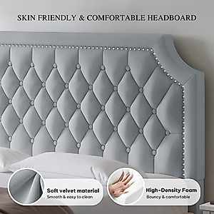 YITAHOME King Size Velvet Bed Frame with Adjustable Headboard, Upholstered Platform Bed with Deep Button Tufted and Rivet Decor, Strong Wooden Slats, No Box Spring Needed, Easy Assembly, Grey