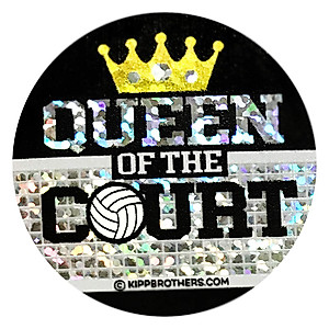 Assorted Volleyball Sports Sparkle Sticker Sheet Pack - 102 Stickers