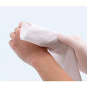 StayDry Adult Wipe or Washcloth 7.5 x 12.5" WPW100, 1 Pack 100 Wipes