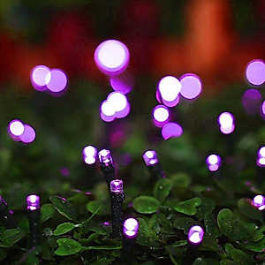 Twinkle Star 200 LED 66FT Halloween Fairy String Lights, Halloween Decoration Lights with 8 Lighting Modes, Mini String Lights Plug in for Indoor Outdoor Christmas Tree Decor, Purple