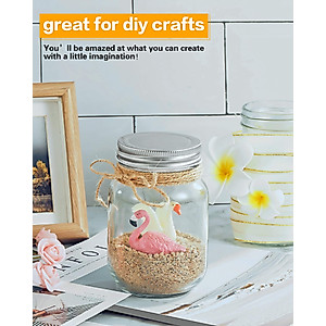 16 oz Mason Jars With Lids Regular Mouth 15 Pack-16 oz Glass Jars with Lids,Bulk Pint Clear Glass Jars For Meal Prep, Food Storage With 20 Labels (Silver Lids)