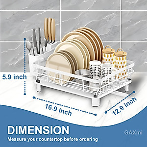 GAXmi Dish Drying Rack Over The Sink Dish Drainer with Drainboard Utensil Holder Adjustable Spout, 1-Tier White