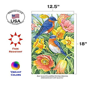 Toland Home Garden 119968 Eastern Bluebirds Spring Flag 12x18 Inch Double Sided Spring Garden Flag for Outdoor House Bird Flag Yard Decoration