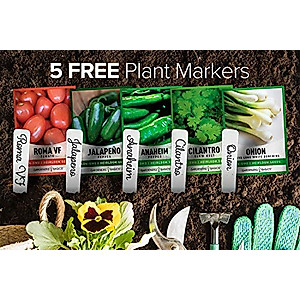 Heirloom Salsa Growing Seed Packets, Roma VF Tomato, Jalapeno, Cilantro, Anaheim and Onion Seeds for Garden Non GMO 5 Free Plant Markers Gardeners Basics