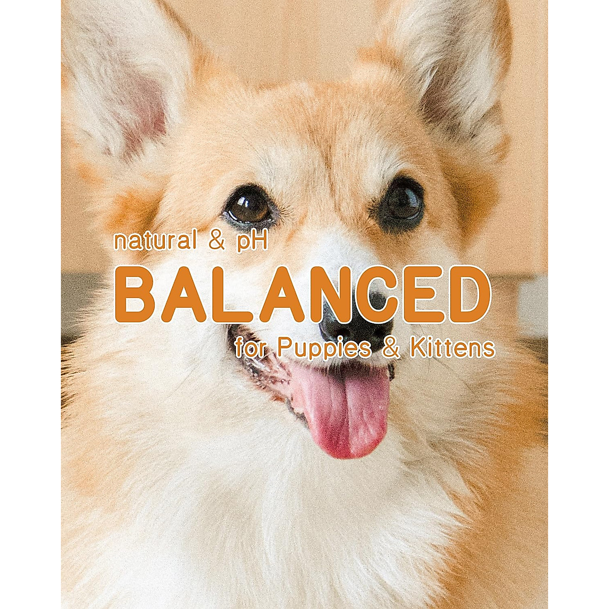 FriPuP Dog Eye Wipes, Travel Size Pet Wash Pads for Ear Face Wrinkle Cleaning, Gentle Tear Stain & Eye Discharge Remover for Cats Kitten Puppy, Essential Small Dog Items, Soft 100 Count (Pack of 2)