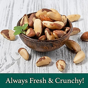 Raw Brazil Nuts 32oz (2 lb) Distinct and Superior to Organic | No PPO Non GMO Batch Tested Gluten & Peanut Free Herbicides Or Pesticides Vegan Keto Friendly Large, Fresh Resealable bag.