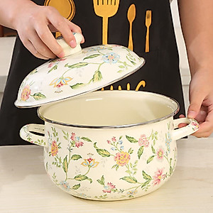 Colorful Enamel Stock Pot with Lid Double Ear for Cooking, 20x20cm, BMR0609A2S15L5