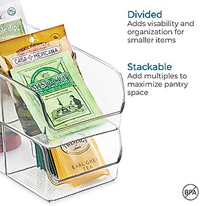 iDesign Linus Spice Packet Organizer Bin for Kitchen Pantry, Cabinet, Countertops - Clear Large