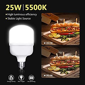 Neewer Upgraded 450W LED Photography Softbox Lighting Kit: (2) 24x24 Inches Softbox with E27 Socket and 5500K Instant Brightness Energy Saving LED Bulbs and Stand for Photo Studio Video Shooting
