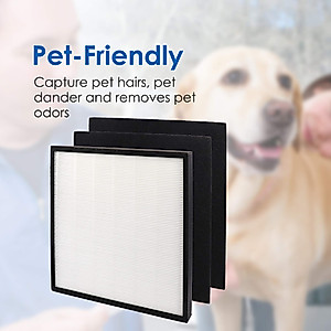 Flintar FLT5900 H13 True HEPA Replacement Filter J, Compatible with Germ Guardian GermGuardian Air Purifier AC5900WCA and AC5900WDLX, 1-Pack