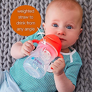 b.box Sippy Cup + Replacement Straw and Cleaner Pack | Includes 2 Weighted Straw Sippy Cups (Raspberry & Grape) | Leak Proof, Spill Proof, BPA Free