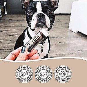 Natural Dog Company Skin Soother Trial Stick (0.15oz) | Travel-Size All-Natural Balm | with Almond Oil, Cocoa Butter, and Vitamins C and E | Moisturize Dry and Itchy Skin, Treat Wounds and Allergies