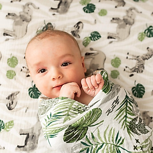Swaddle Blanket, Boutique Muslin Blankets for Girls & Boys, Baby Receiving Swaddles, Ideal Newborn & Infant Swaddling Set, Perfect Shower Gifts, 2 Pack (Dino Roar + Upscale)